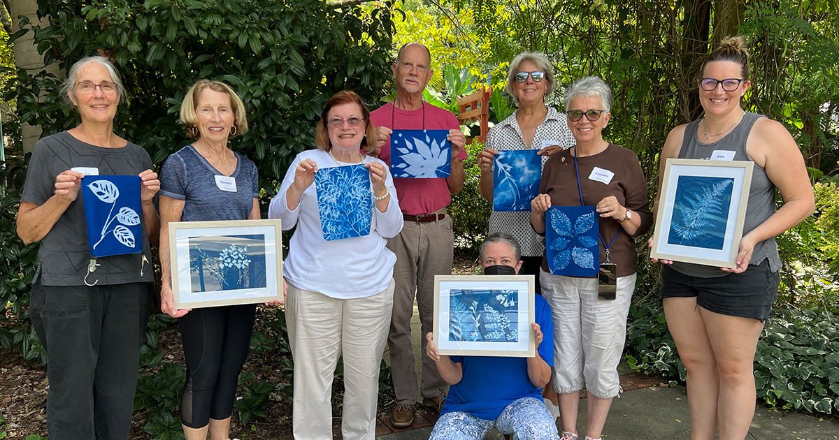 Cyanotype Photograms – Photography Without a Camera at the Hattie ...